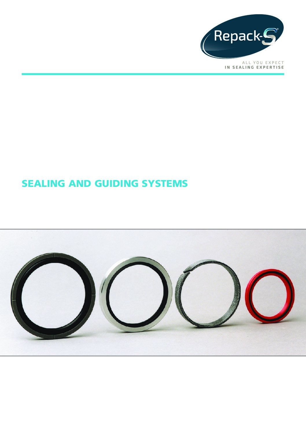 Repack-S-Sealing-and-Guiding-System - Repack-S